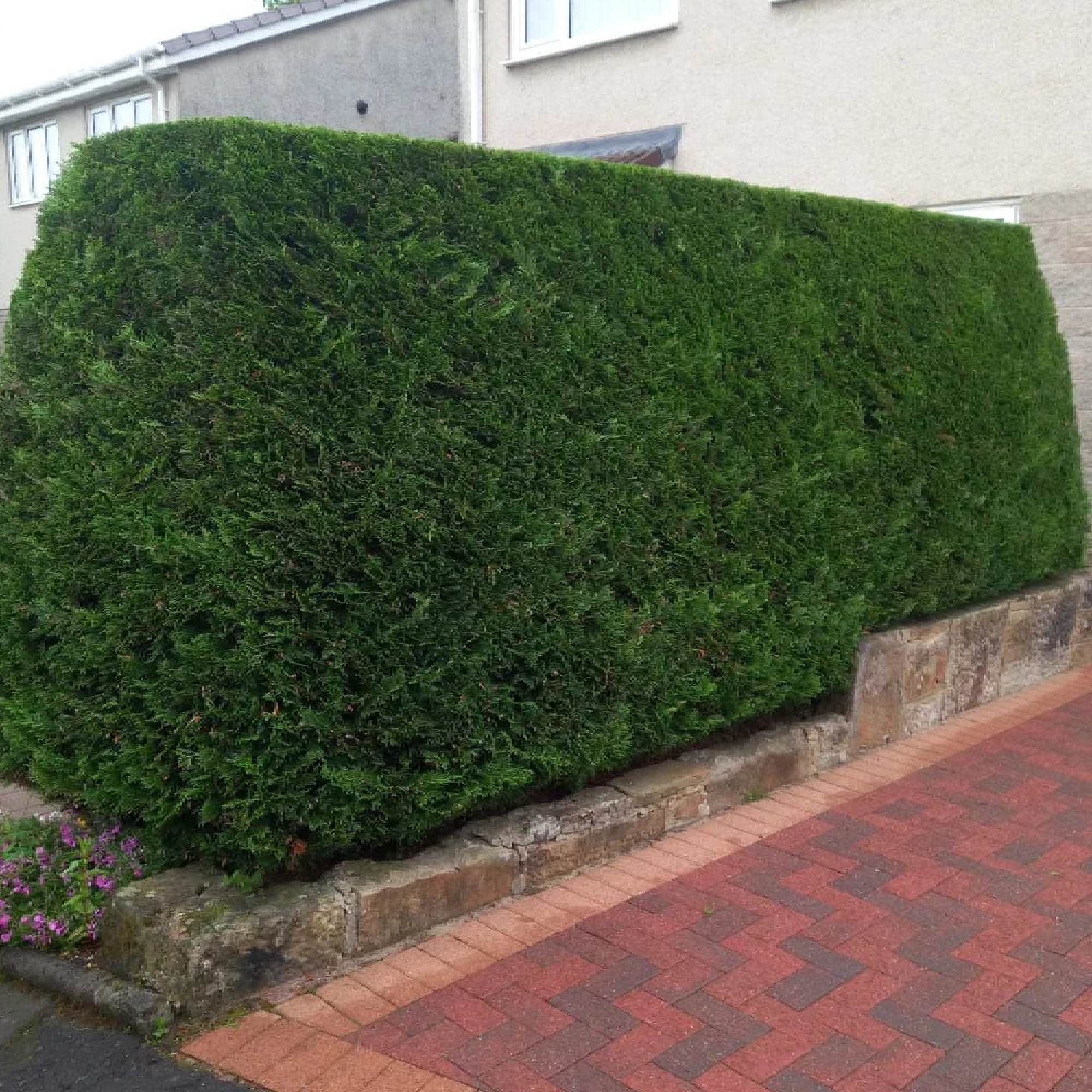 R.A.M Garden & Grounds Maintenance Contractor | Glasgow